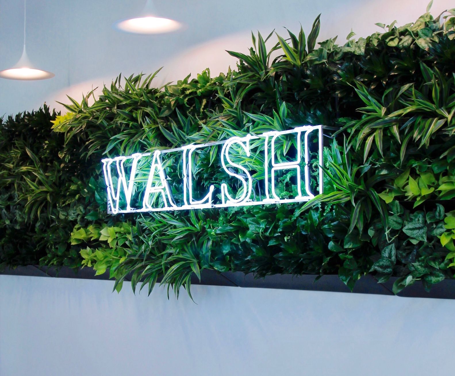 Top 100 Real Estate: Walsh begins development with nod to past and ...