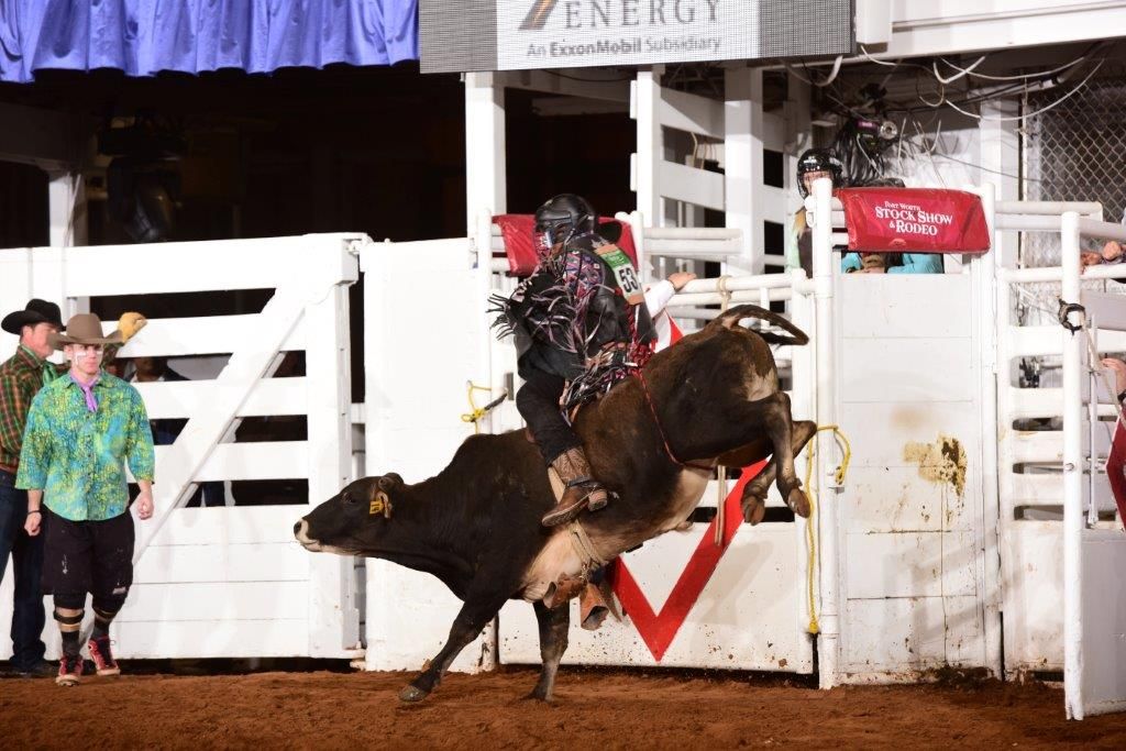 Hearts of the Stock Show: Risk-taker embraces steer riding, skydiving ...