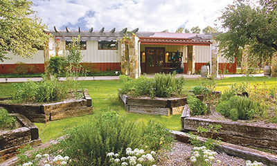 North Texas Wine Trail: Here's a taste of the area's top wineries ...