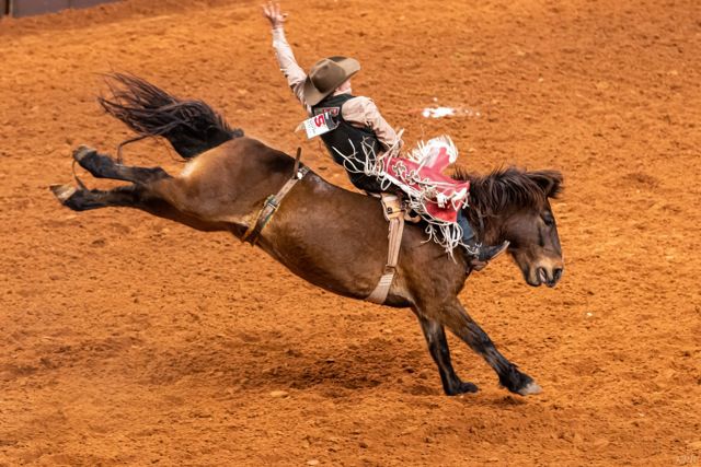 Richard Connor: The first Dickies rodeo points us toward the future ...