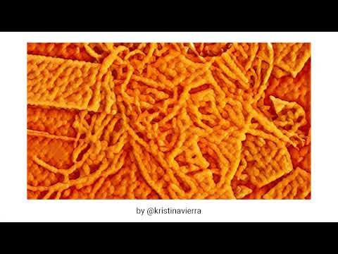 Cheetos coming to SXSW with a cheesy new vision - Fort Worth Business Press