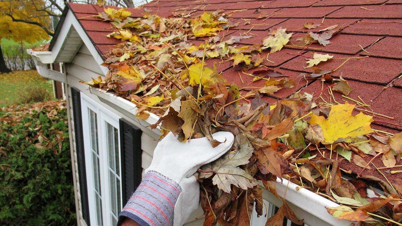 4 outdoor cleaning tips that could help you save thousands - Fort Worth ...