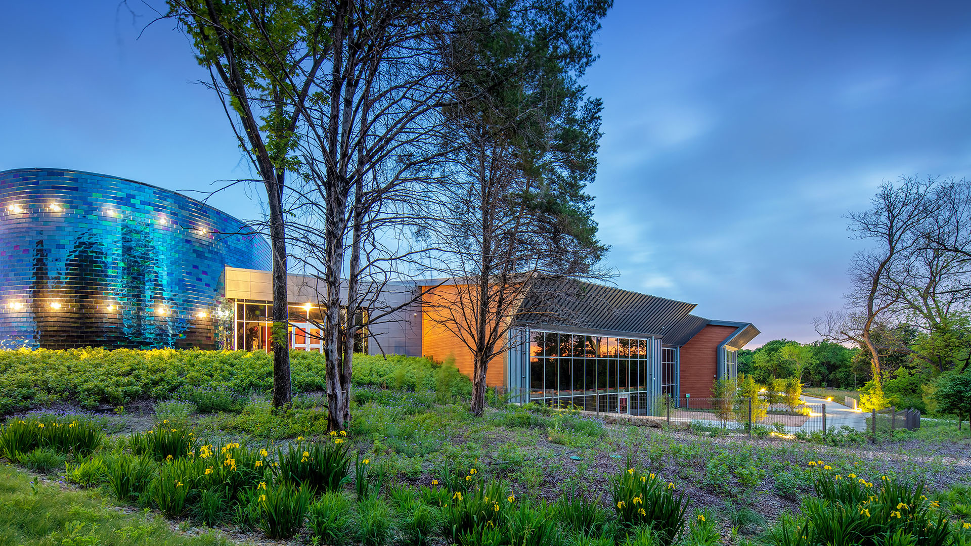 VLK’s design for Allen ISD STEAM Center earns Caudill Award - Fort ...