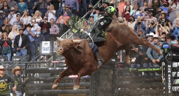 Pro bull riders battle for world title at Dickies Arena - Fort Worth Business Press