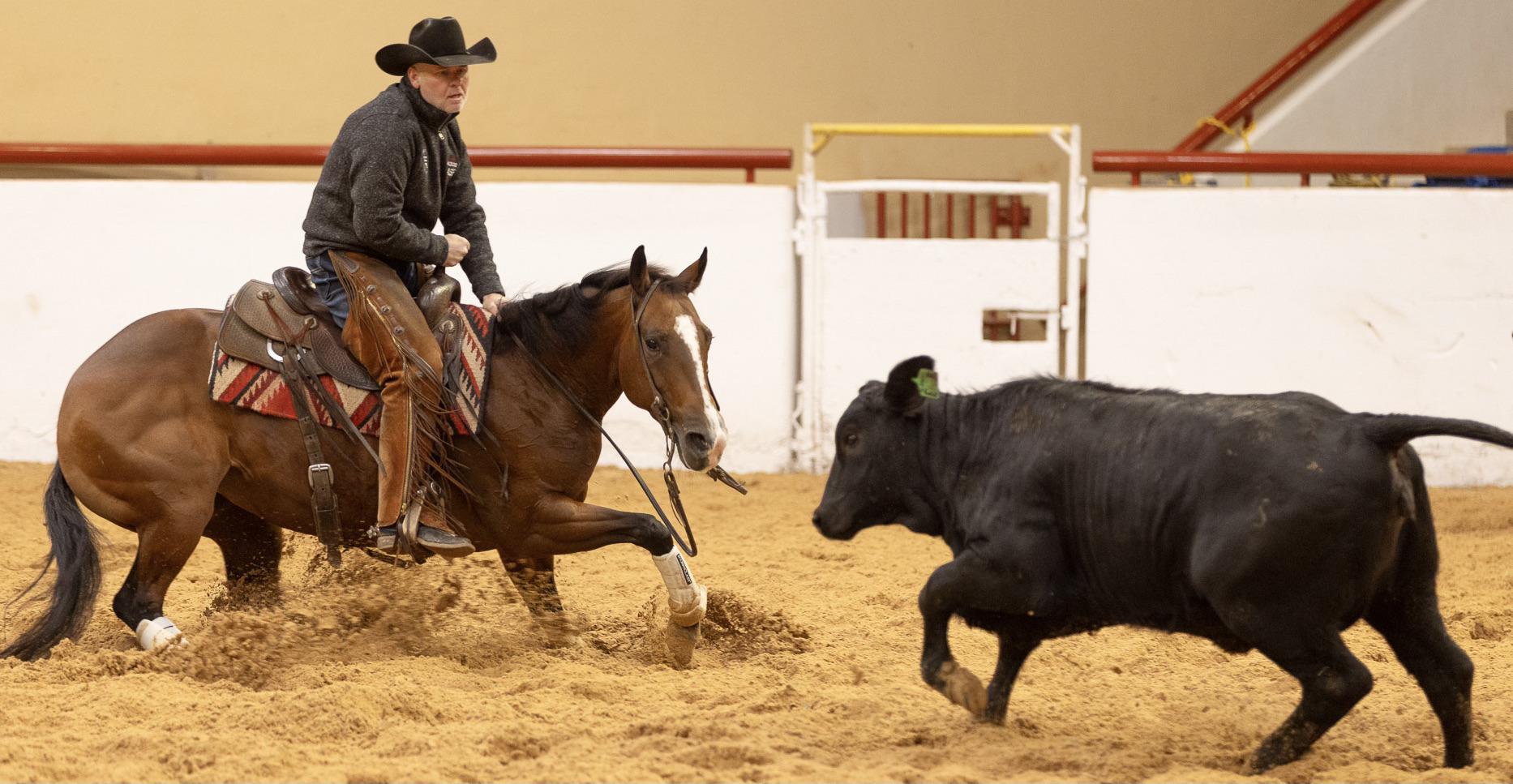 PRORODEO Tournament begins as FWSSR gallops into second weekend - Fort ...