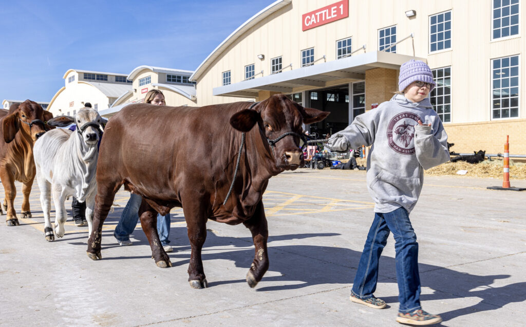Rain or shine, the Fort Worth Stock Show & Rodeo rolls on - Fort Worth ...