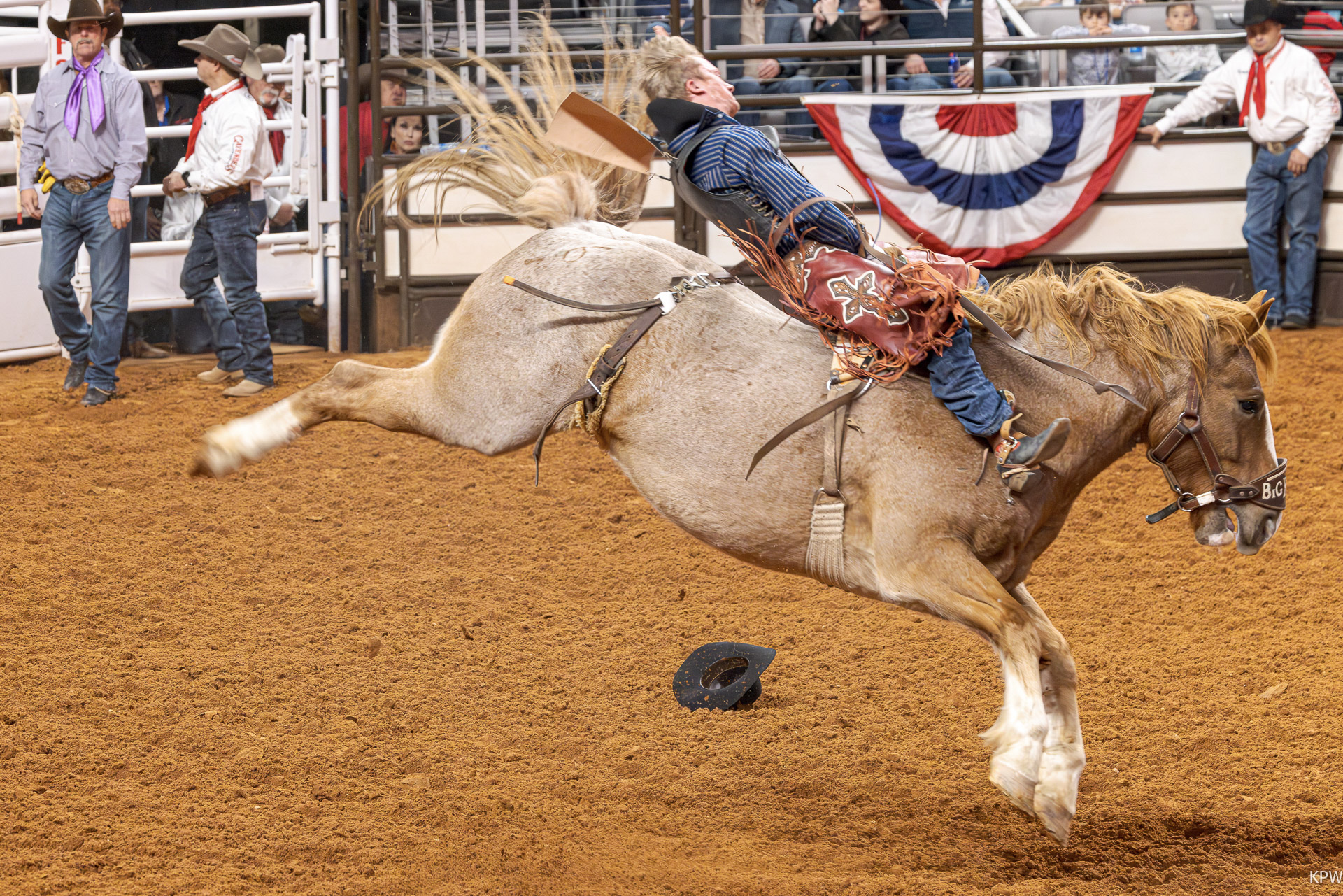 PRORODEO Tournament in full swing at FWSSR - Fort Worth Business Press