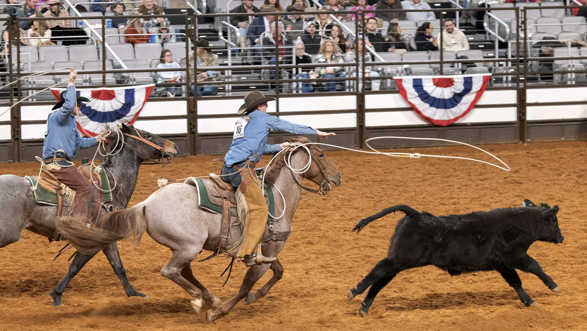 As weather eases, Stock Show & Rodeo keeps rolling - Fort Worth ...