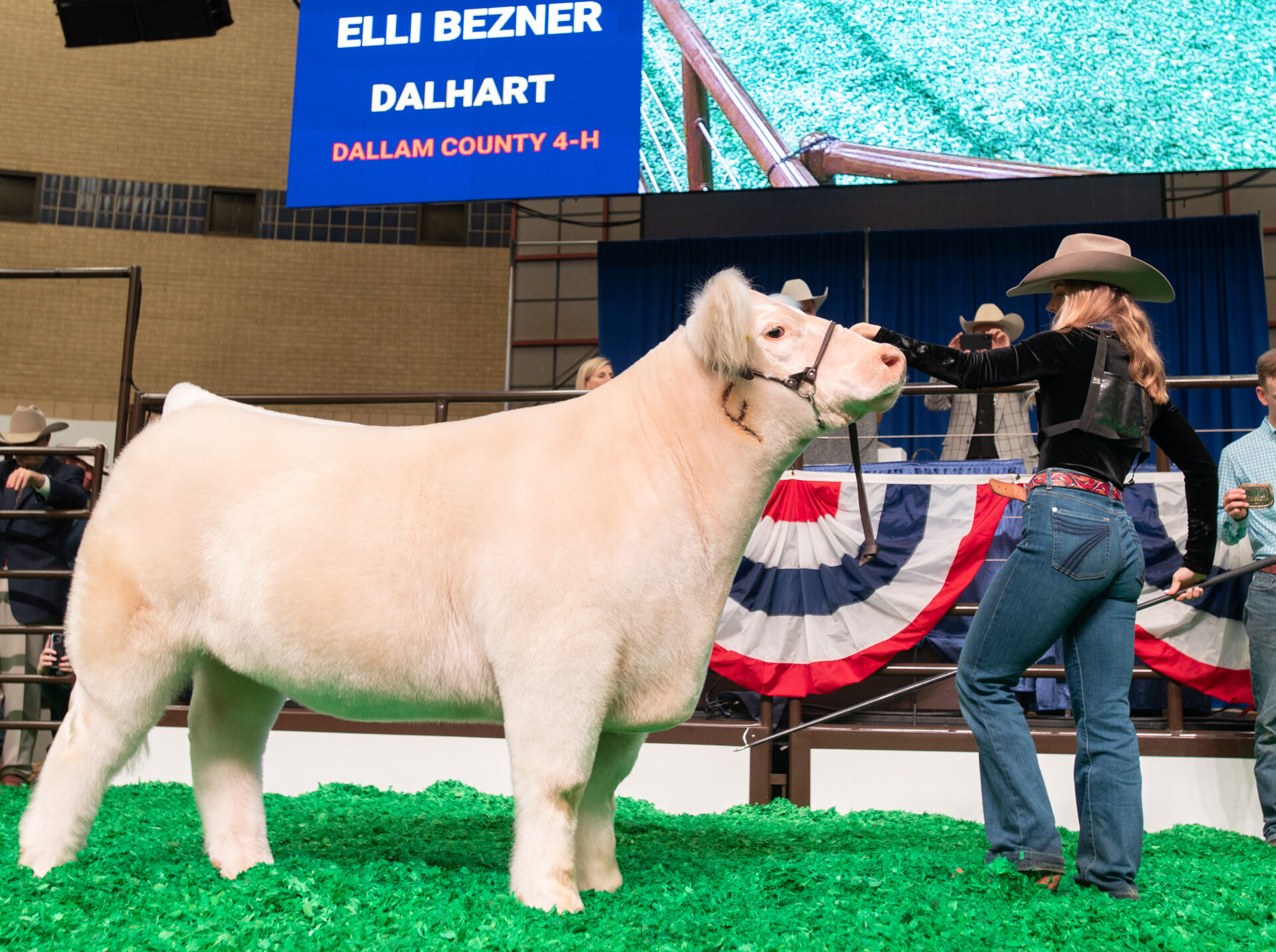 Sold! Grand Champion Steer brings $340,000 on final day of Fort Worth ...