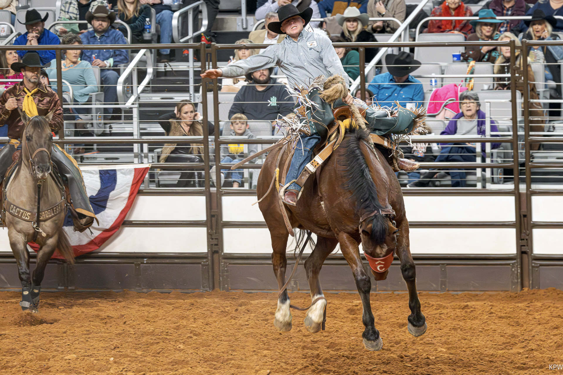 PRORODEO finals, Junior Steer Show, country concerts highlight final ...